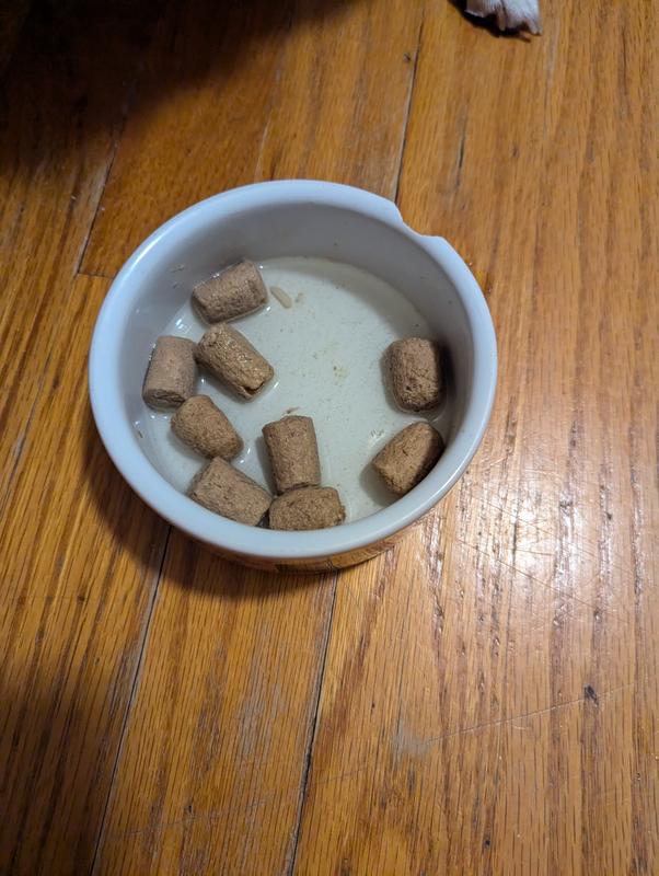 STELLA & CHEWY'S Meal Mixers Super Beef, Chewy's Chicken & Tantalizing ...