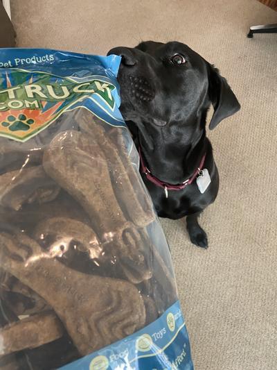 PAWSTRUCK Dental Chew Brush Large Dogs Treats, 30 count - Chewy.com