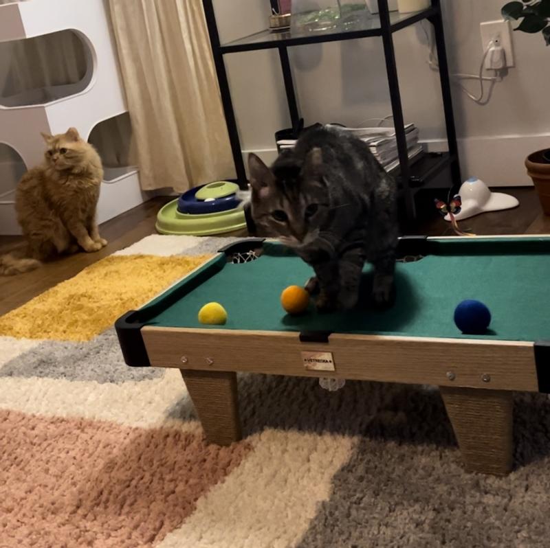 VETRESKA Meownooker Cat Toy Set - Chewy.com