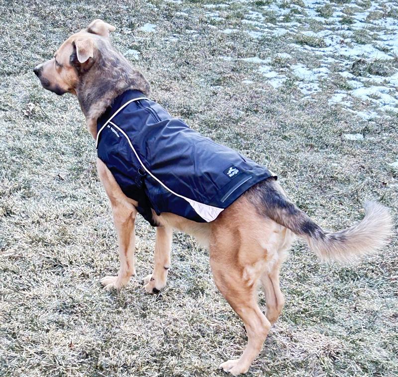 KURGO North Country Dog Coat, Red, Large - Chewy.com