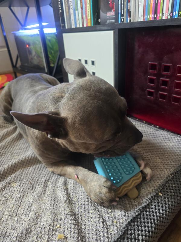 FRISCO Vanilla Flavored Popsicle Rubber & Nylon Chew Dog Toy for Heavy ...