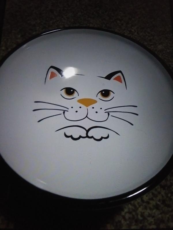 FRISCO Cat Face Wide Shape Elevated Non-Skid Ceramic Cat Bowl, Small: 1 ...