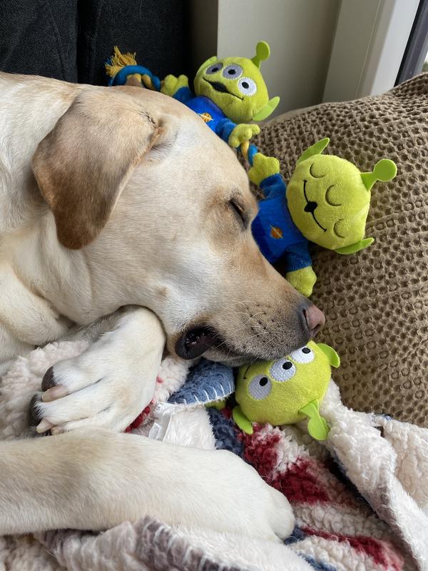 PIXAR Aliens Plush with Rope Squeaky Dog Toy - Chewy.com