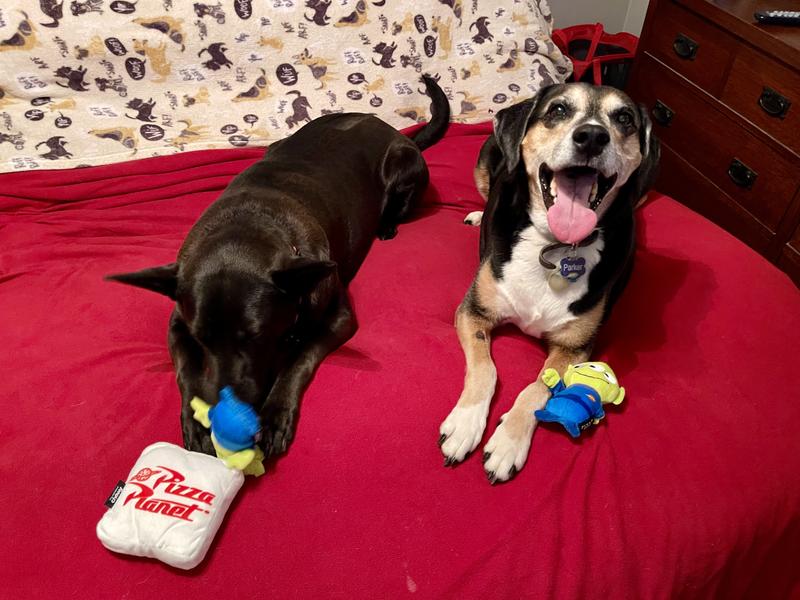 PIXAR Aliens Plush Squeaky Dog Toy, 3 count - Chewy.com