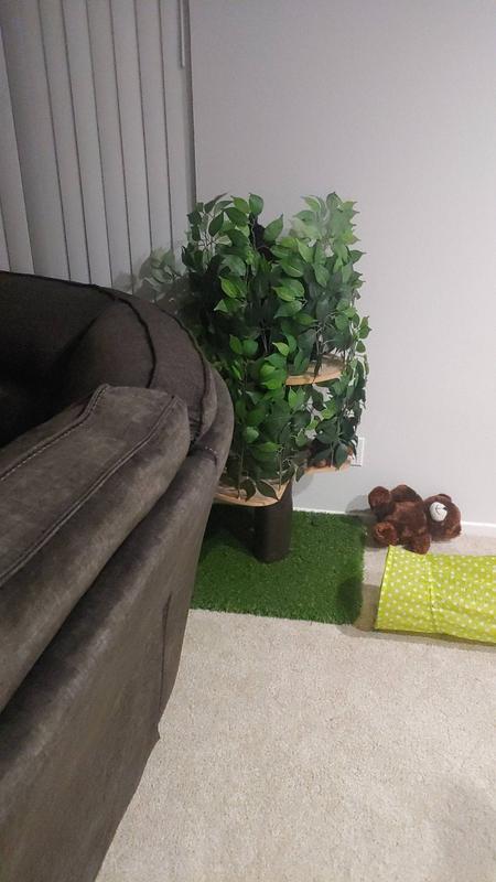 ON2PETS 48-in Medium Square Modern Cat Tree - Chewy.com