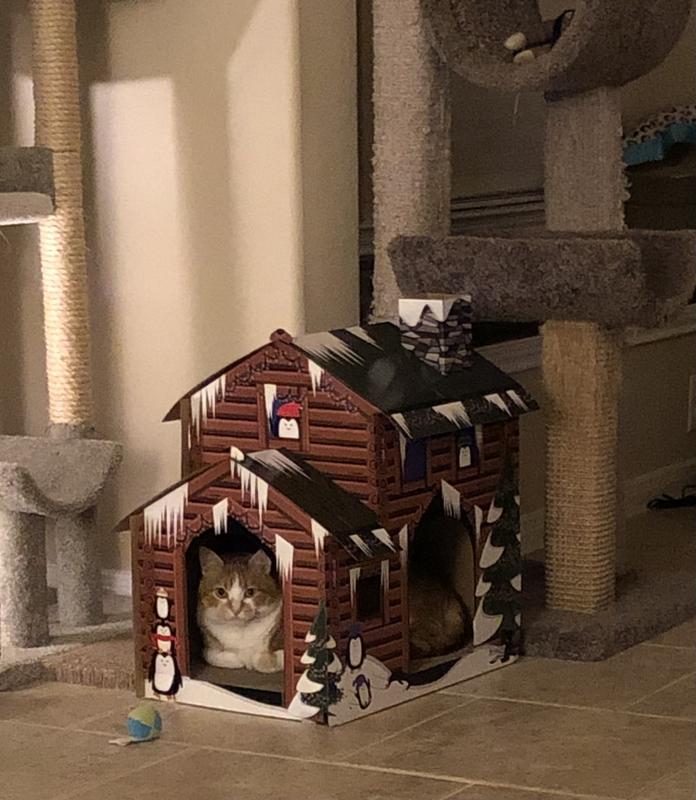 FRISCO Holiday Log Cabin Cardboard Cat House - Chewy.com