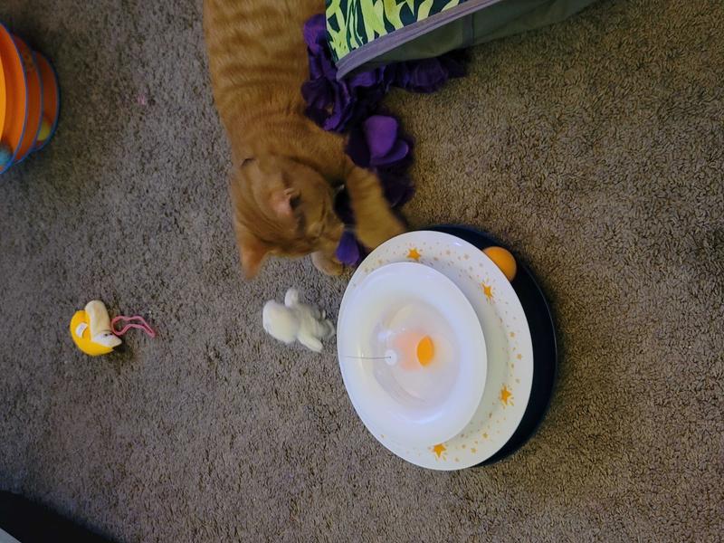 FRISCO Astronaut in Space Wobble & Spin Cat Tracks Cat Toy with Catnip ...