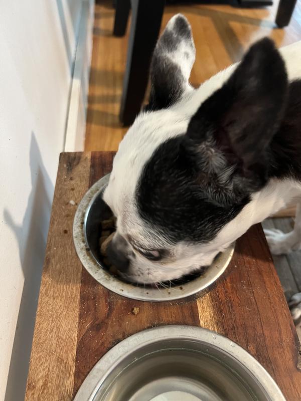 STELLA & CHEWY'S Meal Mixers Super Beef, Chewy's Chicken & Tantalizing ...