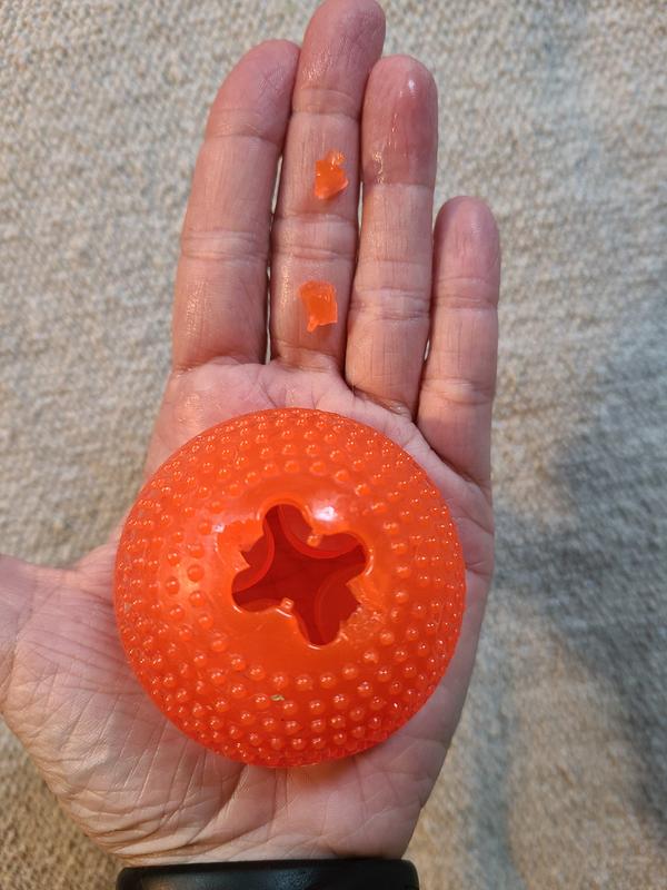 STARMARK Everlasting Bento Ball with Dental Treat Tough Dog Chew Toy ...