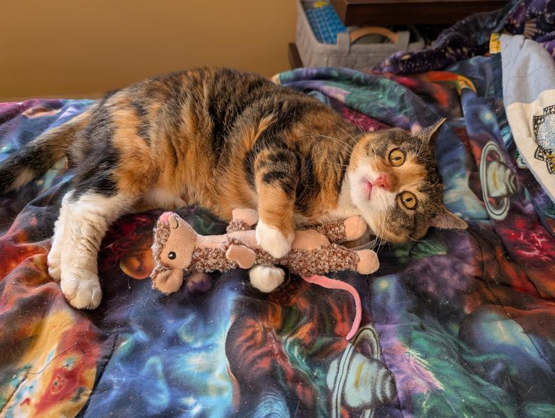 KONG Cat Luvs Mouse Plush Cat Toy with Catnip, Tan - Chewy.com