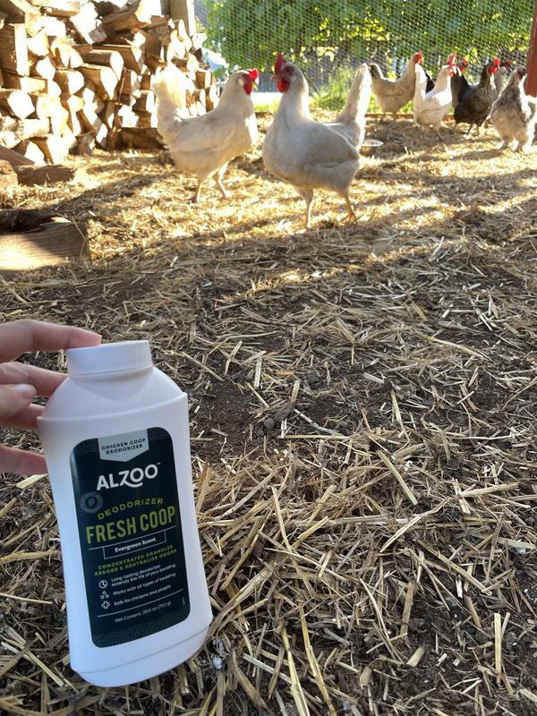 ALZOO My Fresh Chicken Coop Deodorizer, 26.6-oz bottle - Chewy.com