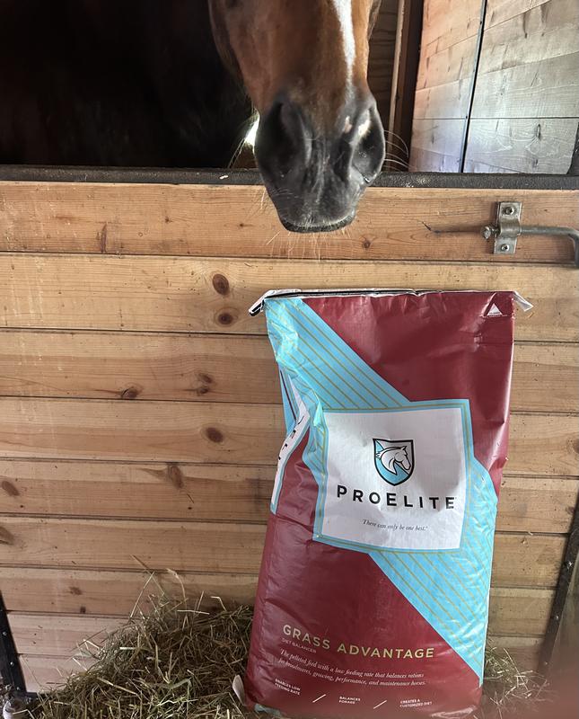 PROELITE Grass Advantage Ultra Premium Equine Diet Balancer Horse Feed ...