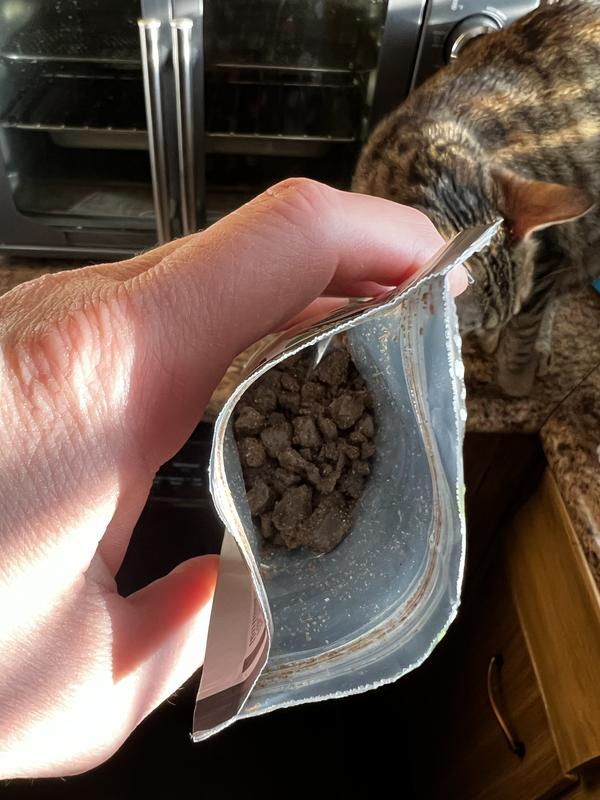 VETRISCIENCE Nu Cat Senior Soft Chews Multivitamin for Cats, 30 count ...