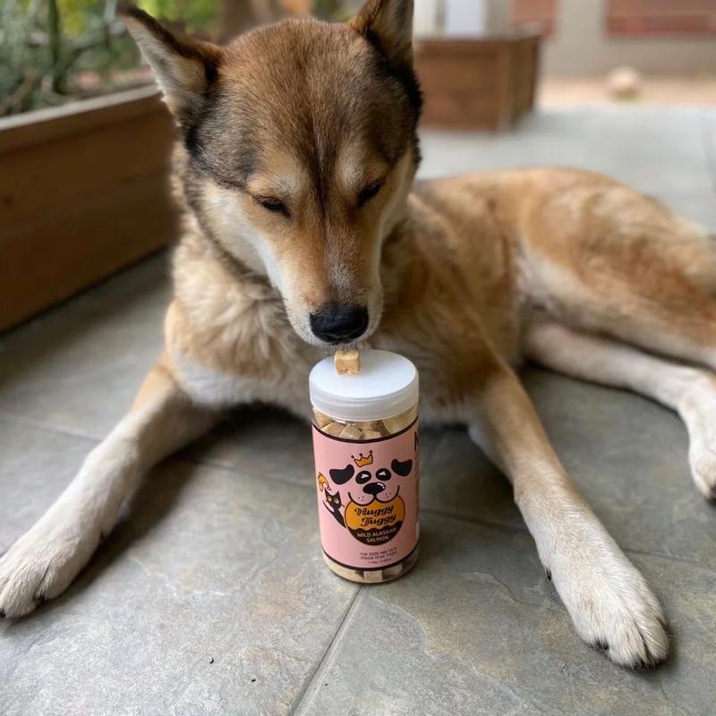 Out of Stock - HUGGY TUGGY Freeze-Dried Wild Alaskan Salmon Dog & Cat ...