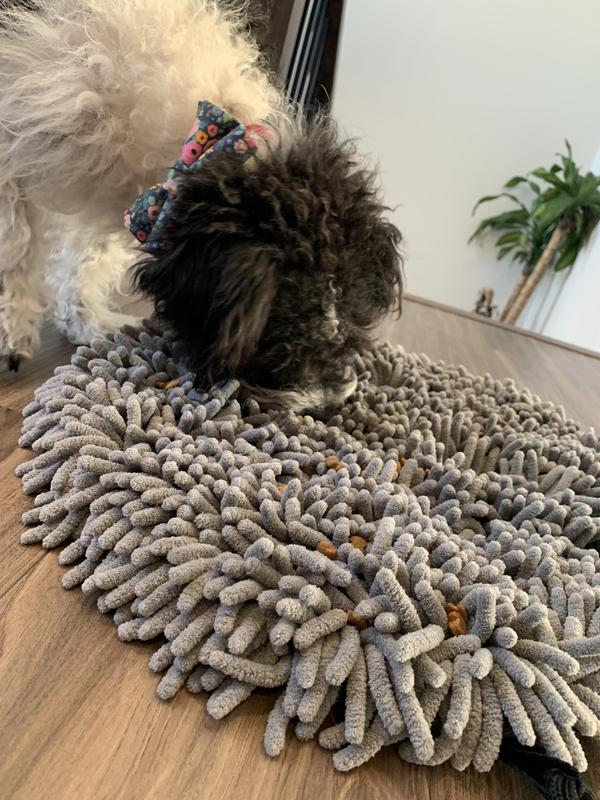 FRISCO Snuffle Mat, Grey - Chewy.com