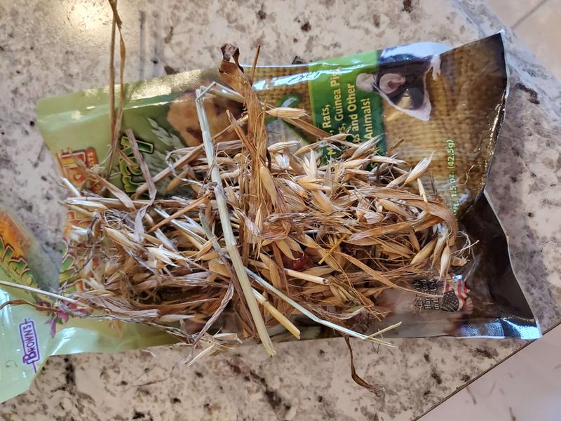 Out of Stock - BROWN'S Tropical Carnival Oat Spray Small Animal Treats ...