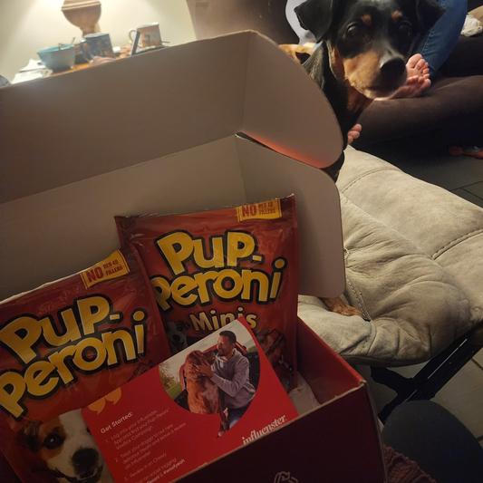 PUP-PERONI Minis Original Beef Flavor Dog Treats, 22.5-oz bag - Chewy.com