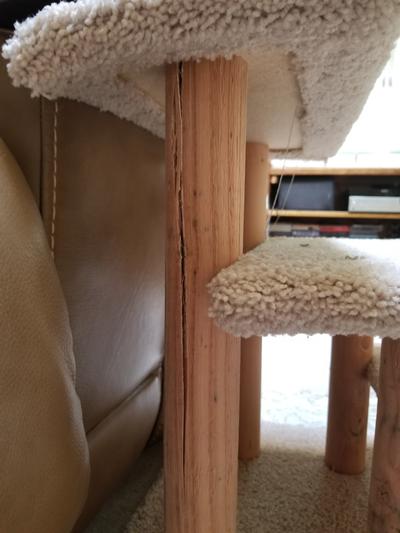 FRISCO 20-in 3-Step Real Carpet Wooden Cat Steps, Beige - Chewy.com