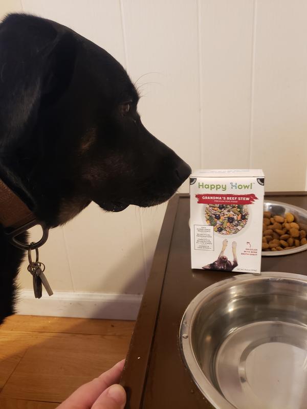 HAPPY HOWL Grandma's Beef Stew 100% Human-Grade Wet Dog Food, 14.6-oz ...