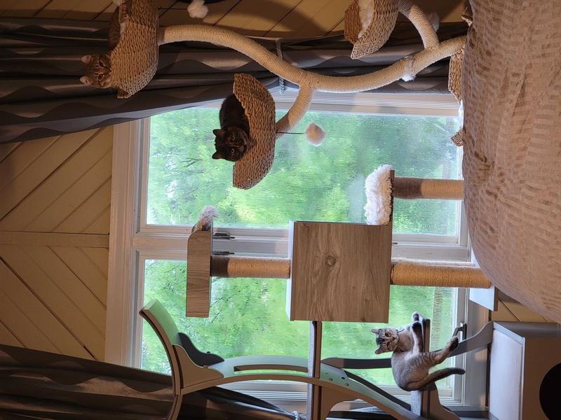 MAU Ivy Cat Tree, White, Large - Chewy.com