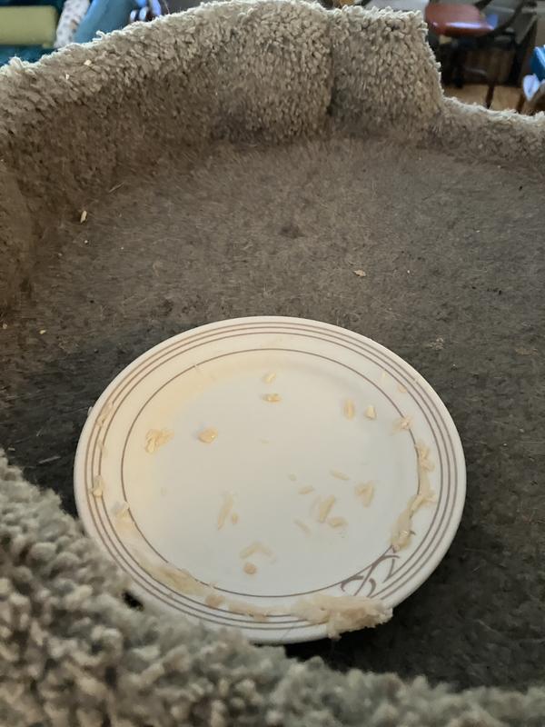 INABA Dashi Delight Seafood Flavored Variety Pack Bits in Broth Cat ...