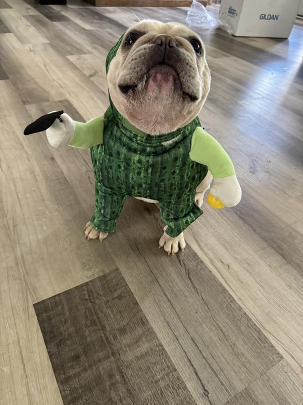 FRISCO Front Walking "Pickle" Ball with Adjustable Inseam Dog & Cat ...