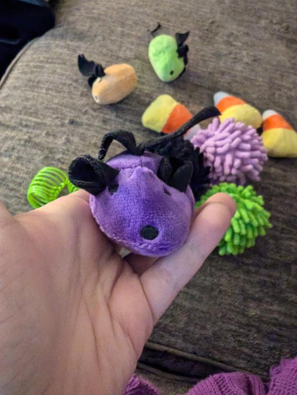 FRISCO Halloween Spring, Moppy Ball & Plush Variety Pack Cat Toy with ...