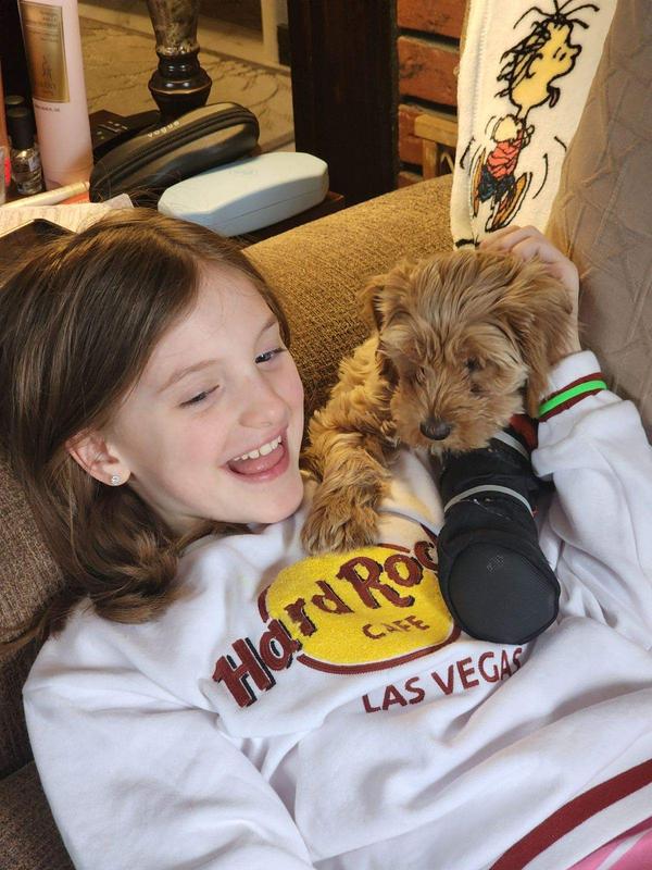 MEDIPAW Soft-Lined Dog & Cat Healing Boot, Medium - Chewy.com