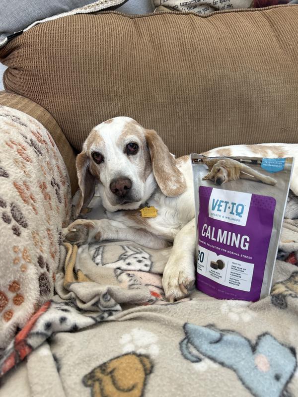 Discontinued - VETIQ Calming Soft Chew Calming Supplement for Dogs, 90 ...