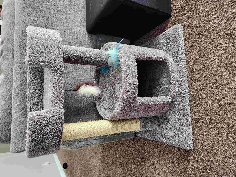 FRISCO 27-in Real Carpet Cat Tree with Condo & Oval Perch, Gray - Chewy.com