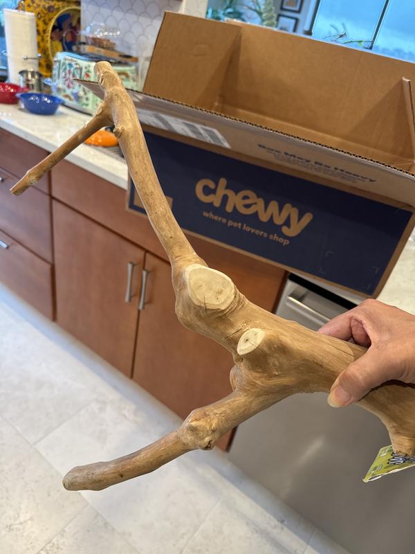 A&E CAGE COMPANY Multi-Branch Bird Perch, Brown, X-Large - Chewy.com