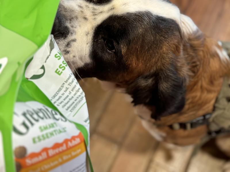 GREENIES Smart Essentials Small Breed Adult High Protein Real Chicken ...