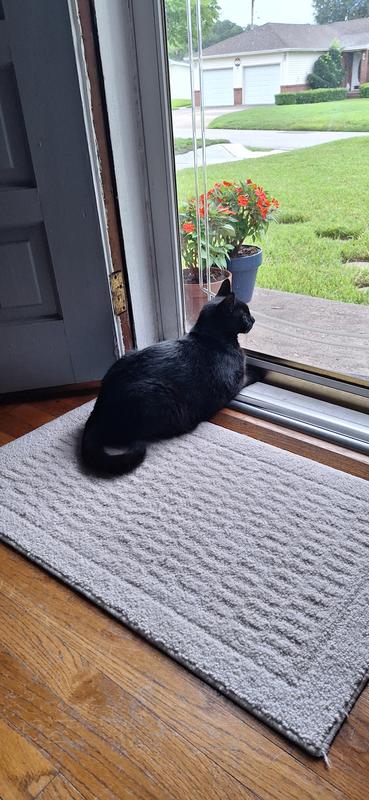 SELARID Topical Solution for Cats, 5.1-15 lbs, (Blue Box), 6 Doses (6 ...