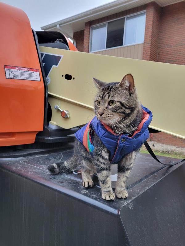 FRISCO Lightweight Reversible Striped Packable Dog & Cat Puffer, Navy ...