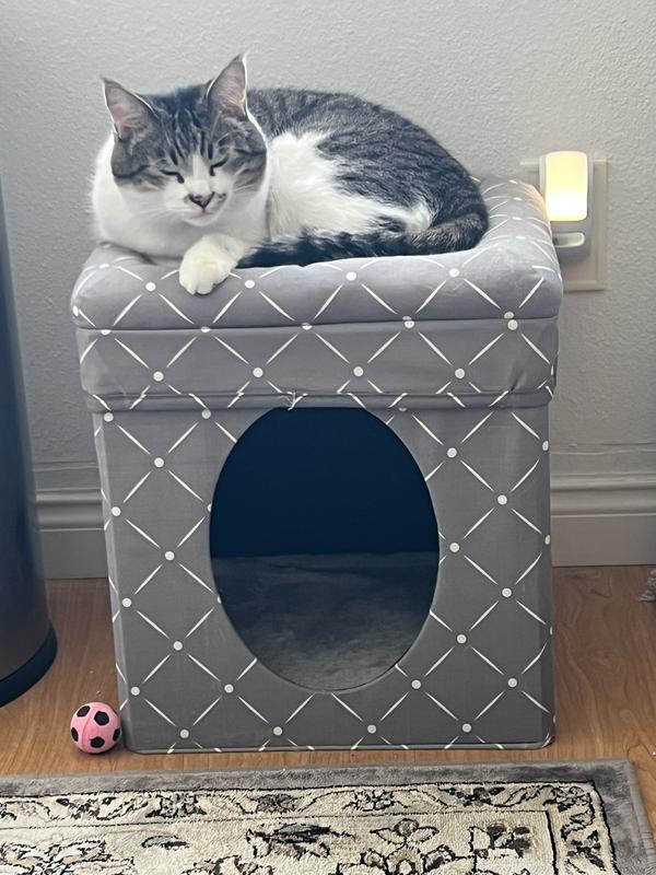 MIDWEST Curious Cube Cat Condo, Geometric Gray - Chewy.com
