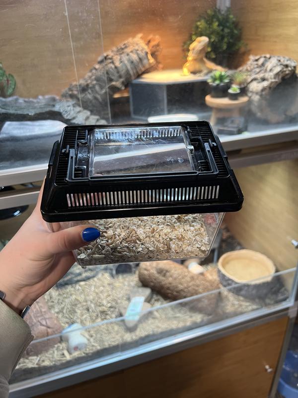 EXO TERRA Cricket Pen with Dispensing Tubes, Small: 2 tubes - Chewy.com