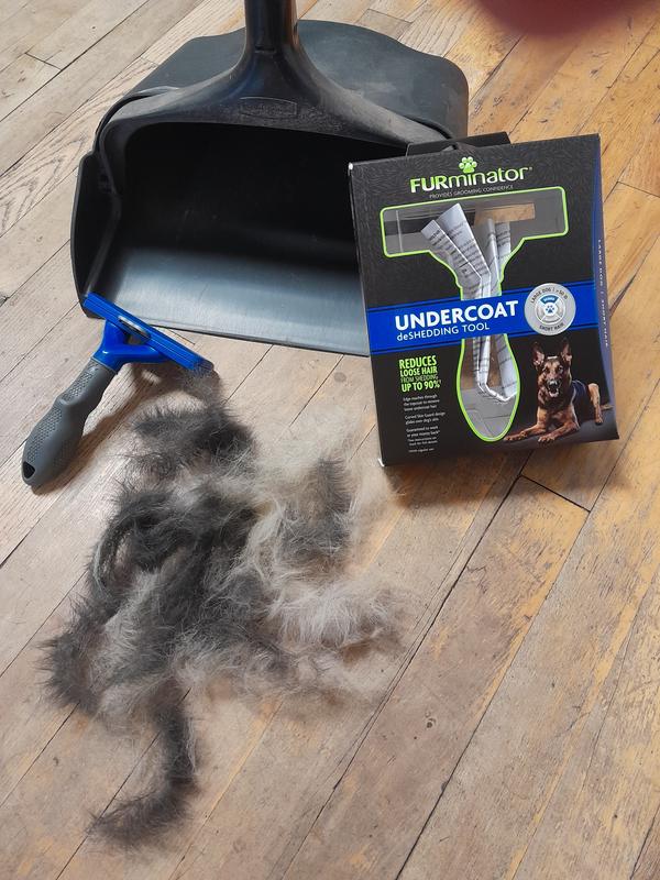 FURMINATOR Short Hair Dog Deshedding Tool, Orange, Medium - Chewy.com