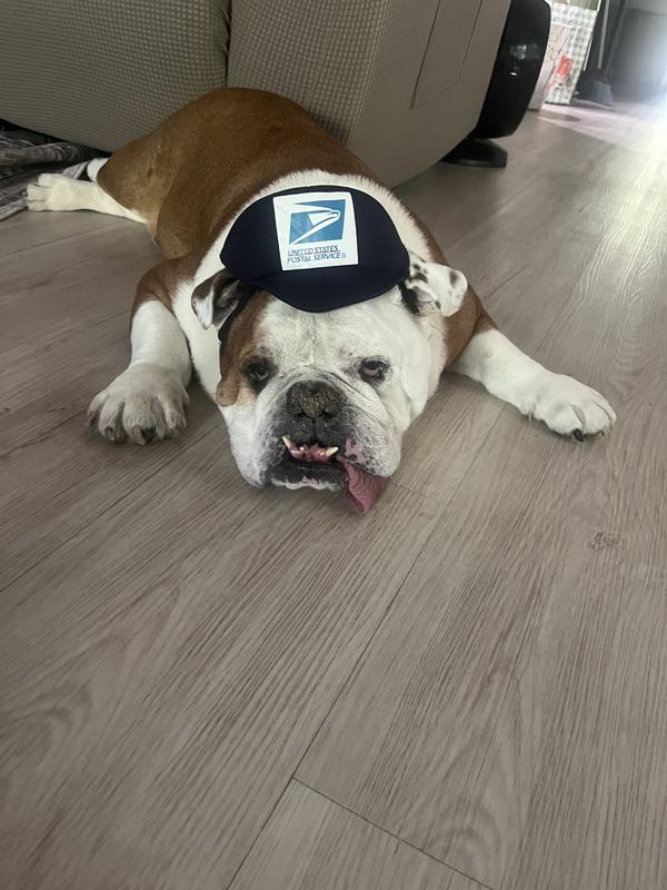 NEO-POLY-DEX (Generic) Ophthalmic Suspension, 5-mL - Easy Refills ...