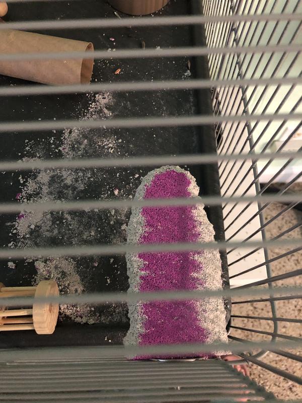 KAYTEE Lava Ledge Small Animal Toy, 5.8-in - Chewy.com