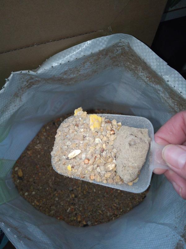 KALMBACH FEEDS Chickhouse Reserve Extraordinary 18% Protein Chick ...