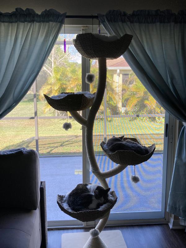 MAU Ivy Cat Tree, Large, White - Chewy.com