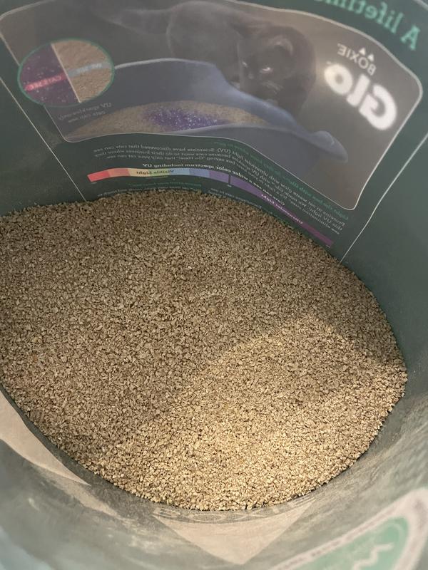 BOXIECAT Glo Corn Clumping Cat & Kitty Litter, 16.5-lb bag - Chewy.com