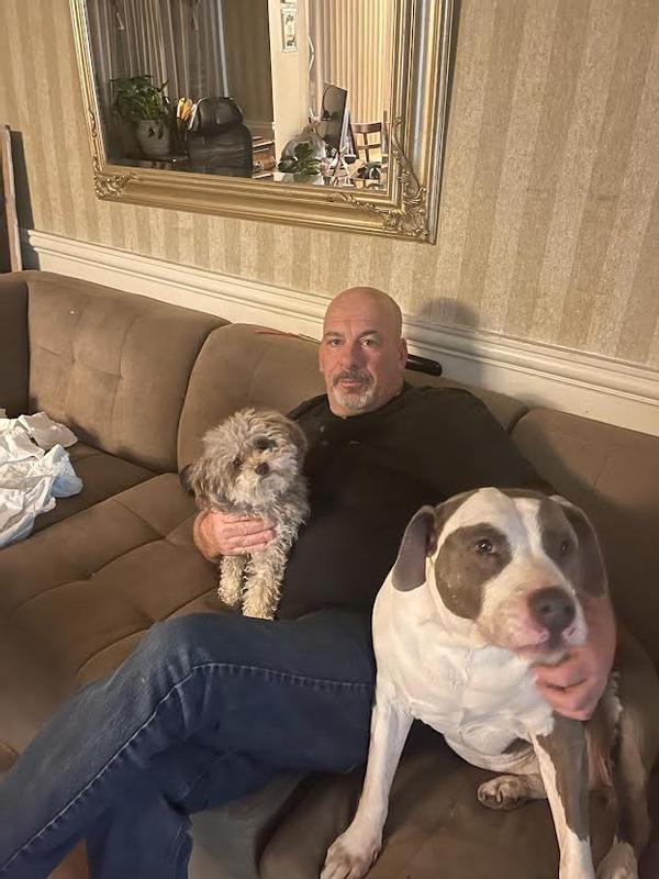 KONG Cozie Spunky the Monkey Dog Toy, Medium - Chewy.com