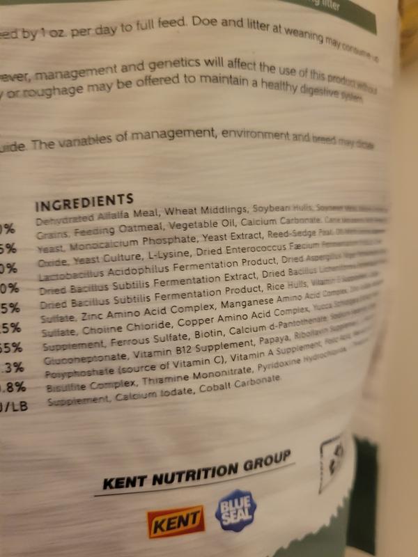 KENT / BLUE SEAL Home Fresh Pro Hutch 16 Pellet Rabbit Food, 25-lb bag ...