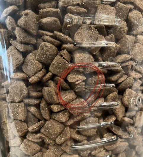 FORZA10 Nutraceutic Active Dermo Dry Dog Food, 22-lb bag - Chewy.com