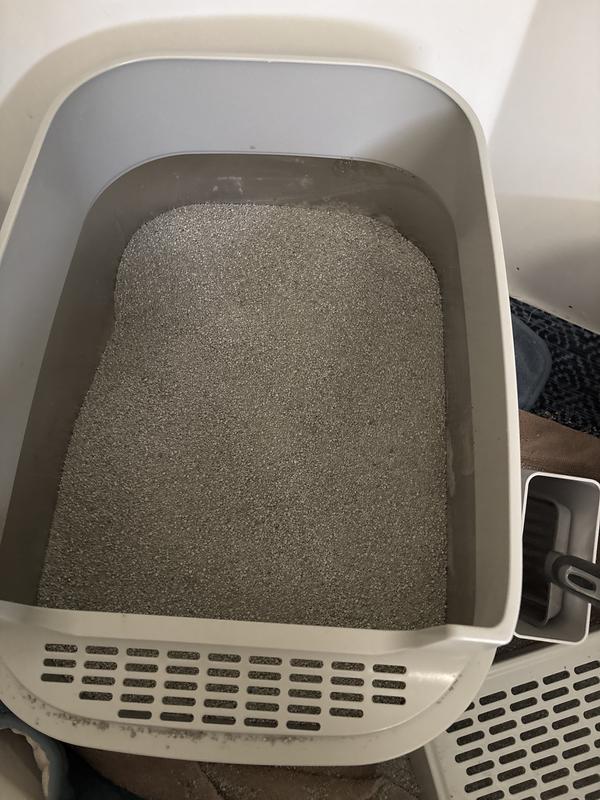 PAWSPIK Stainless Steel Cat Litter Box & Metal Scooper, X-Large, Light ...