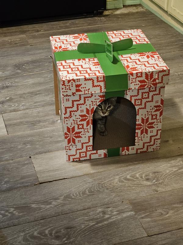 FRISCO Holiday Gift Box Cardboard Cat House - Chewy.com