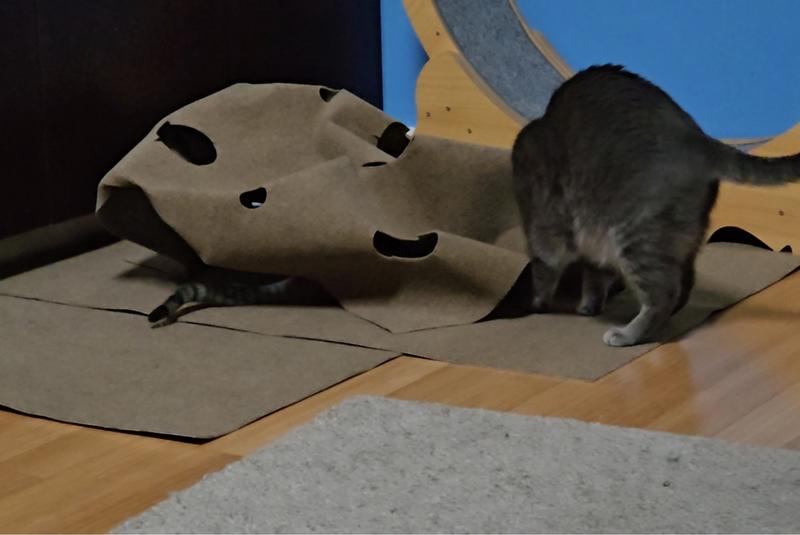 SNUGGLYCAT Ripple Rug Cat Activity Play Mat, Oatmeal White - Chewy.com