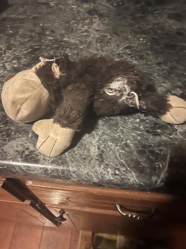 KONG Cozie Spunky the Monkey Dog Toy, Medium - Chewy.com