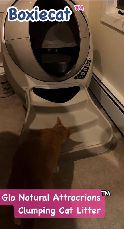 BOXIECAT Glo Natural Stress-Relief Clumping Clay Cat & Kitty Litter ...